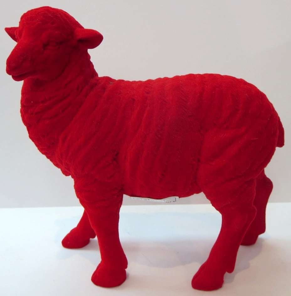 Red Sheep – Carolina Trading
