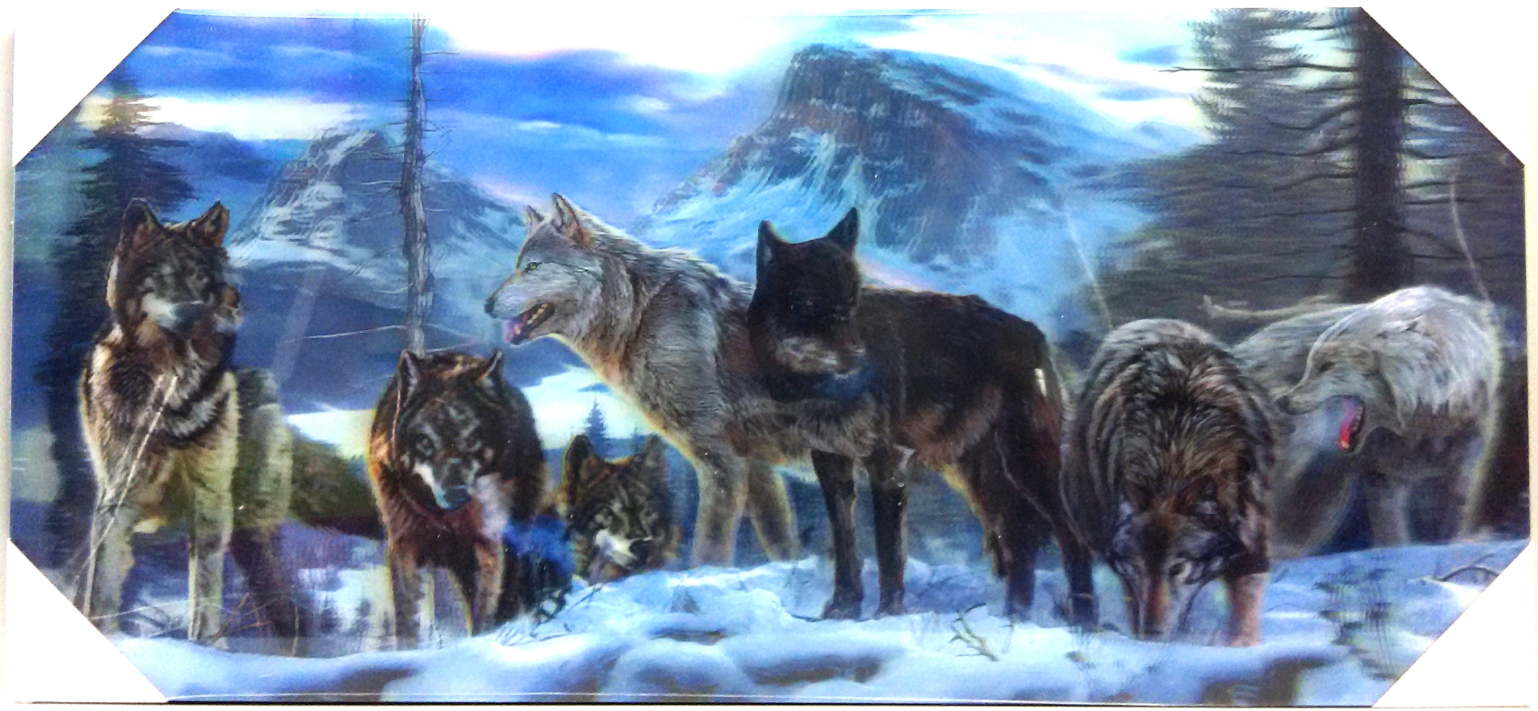 3D Art Pack of Wolves 23 x 50cm | Carolina Trading